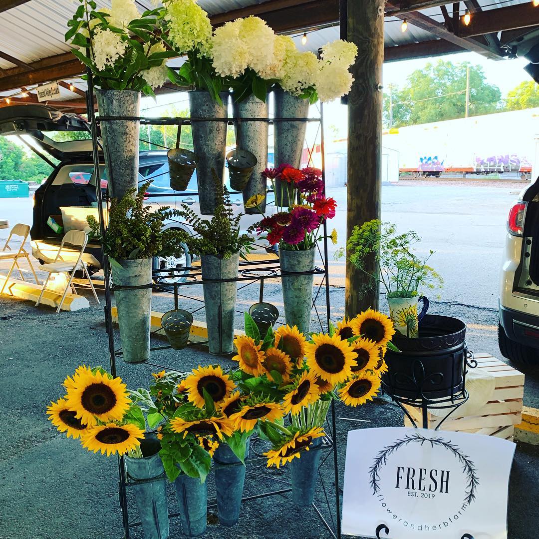 What a beautiful group of flowers, pick some up this morning at the ...